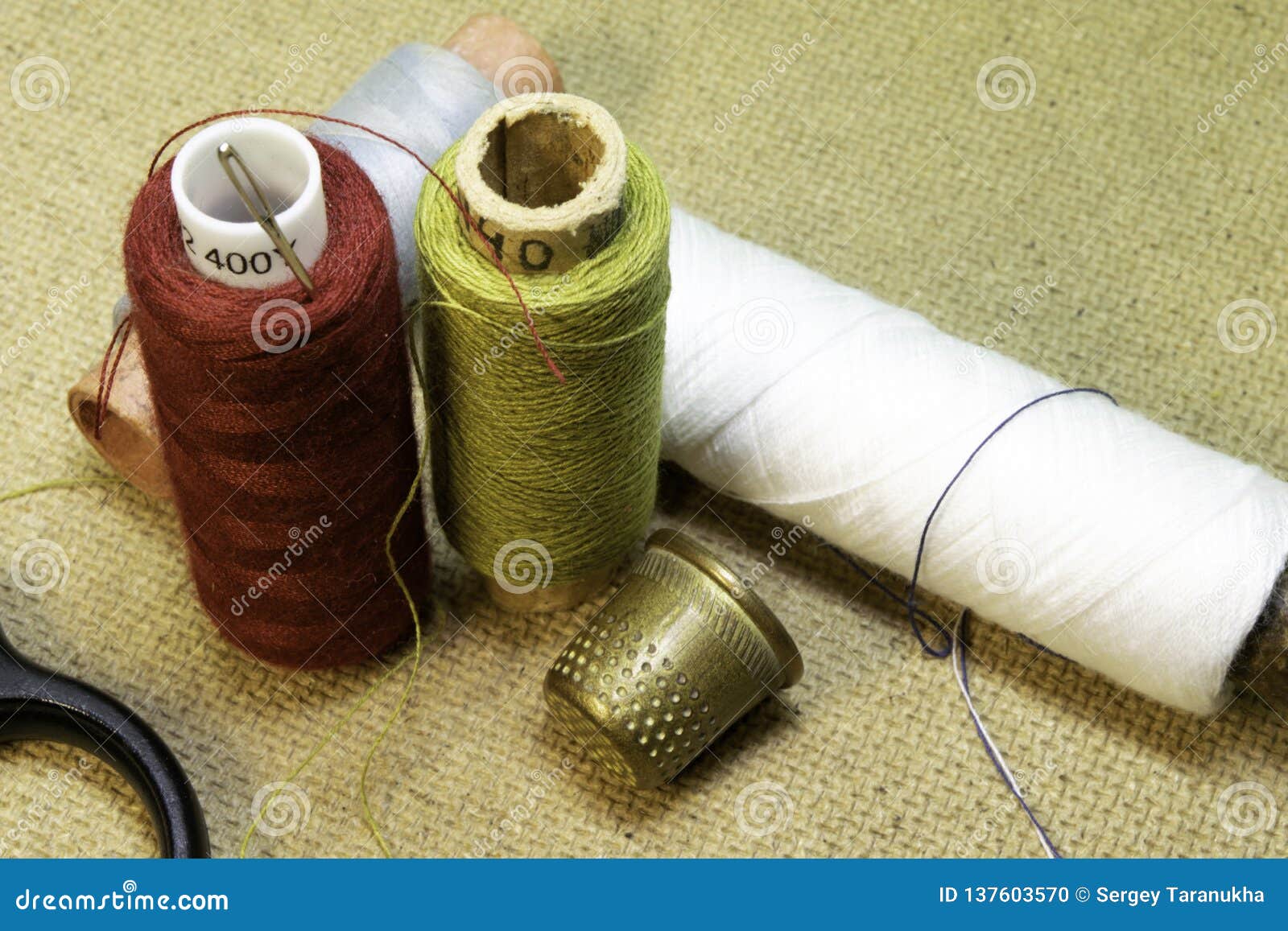 Threads, Needles, Thimble and Scissors are on the Table Stock Photo ...