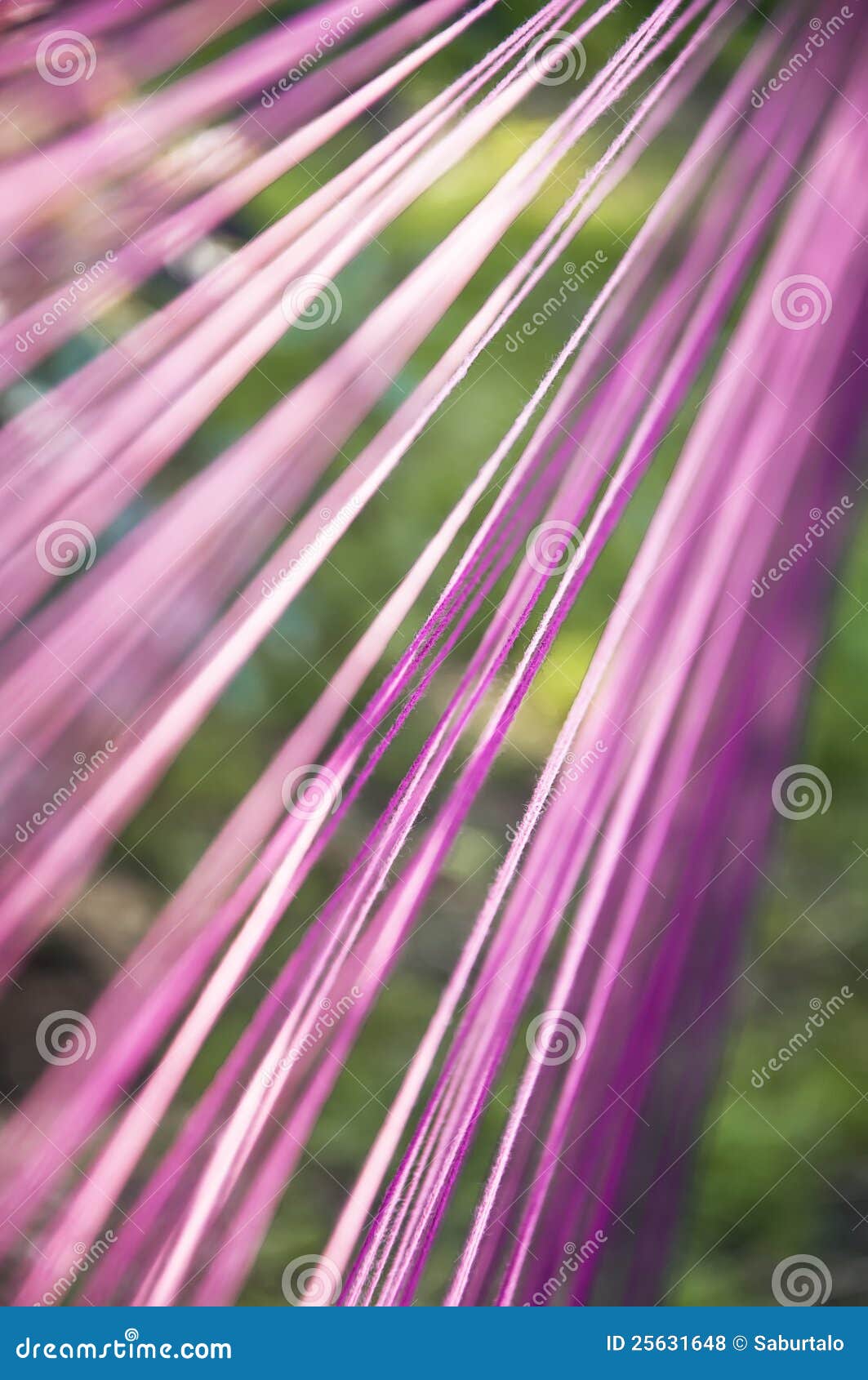 Threads Stretched at an Angle Stock Photo - Image of garden, delicate ...