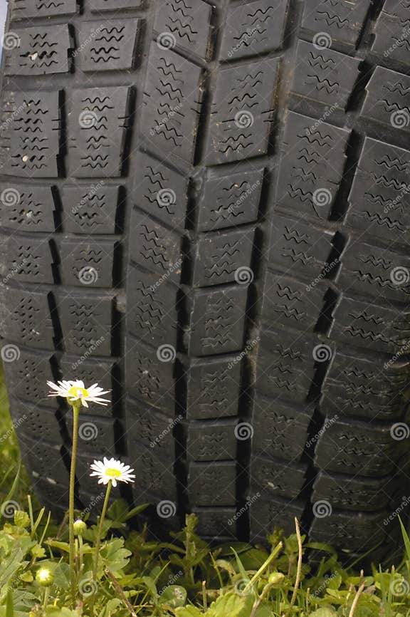 Threatened! stock photo. Image of crushed, tyre, dangerous - 1407664