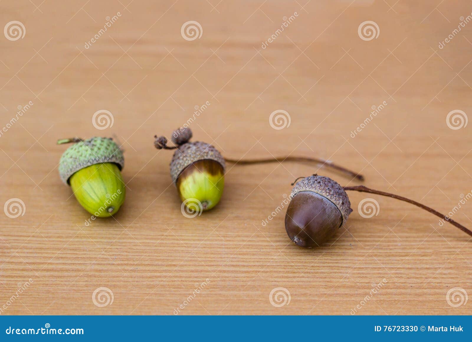 Three Acorns on Wooden Background Stock Photo - Image of autumn ...