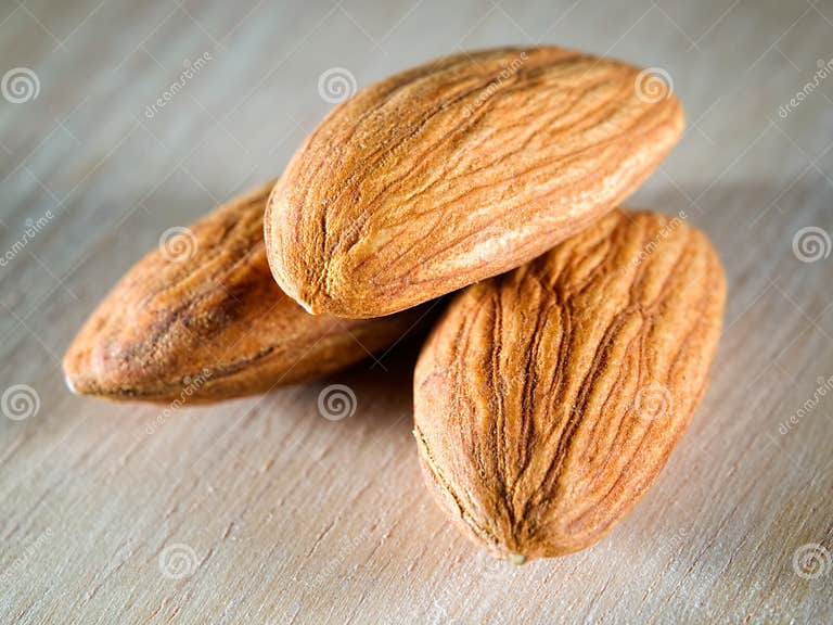 Three almonds stock photo. Image of nature, kernel, brown - 19543756