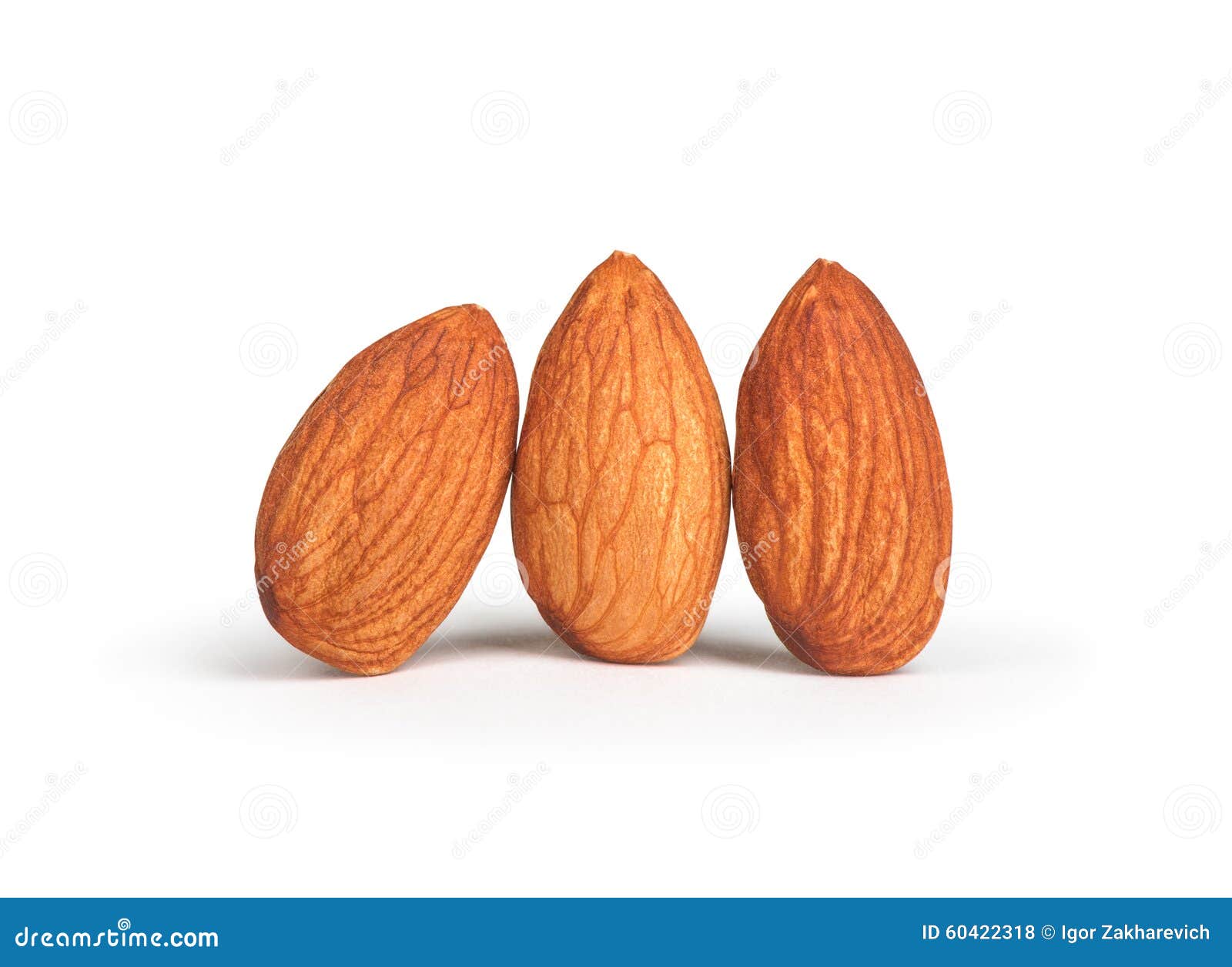 Three almonds stock photo. Image of fresh, objects, brown - 60422318