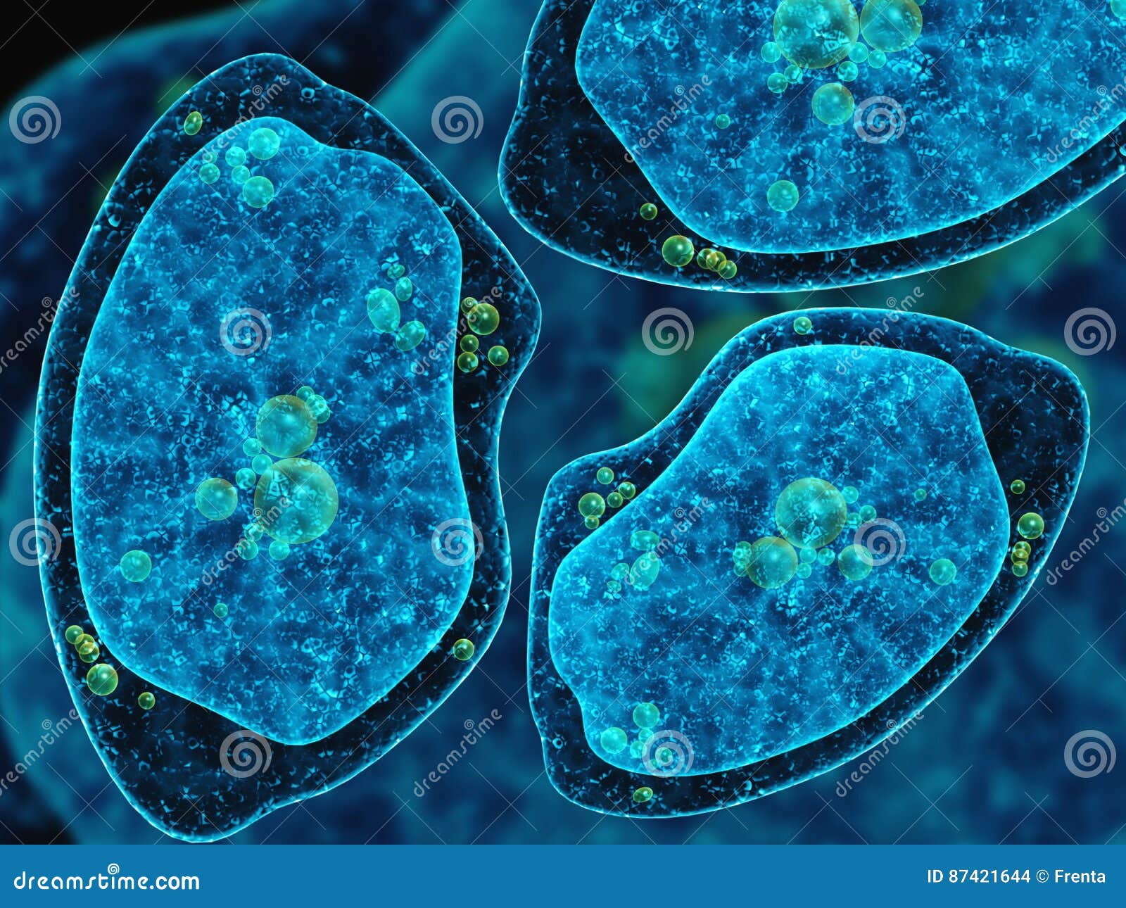 Three Amoebas on Abstract Dark Blue Background Stock Illustration ...