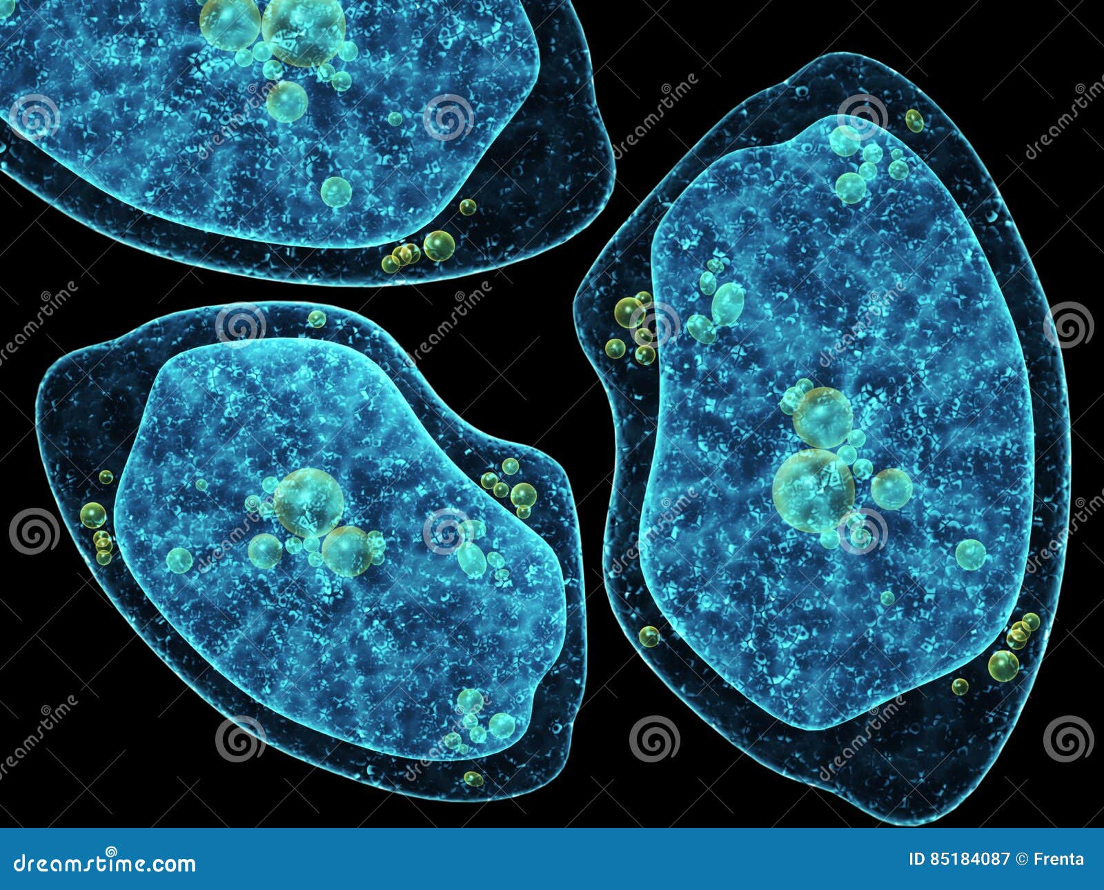 Three Amoebas on Black Background Stock Illustration - Illustration of ...