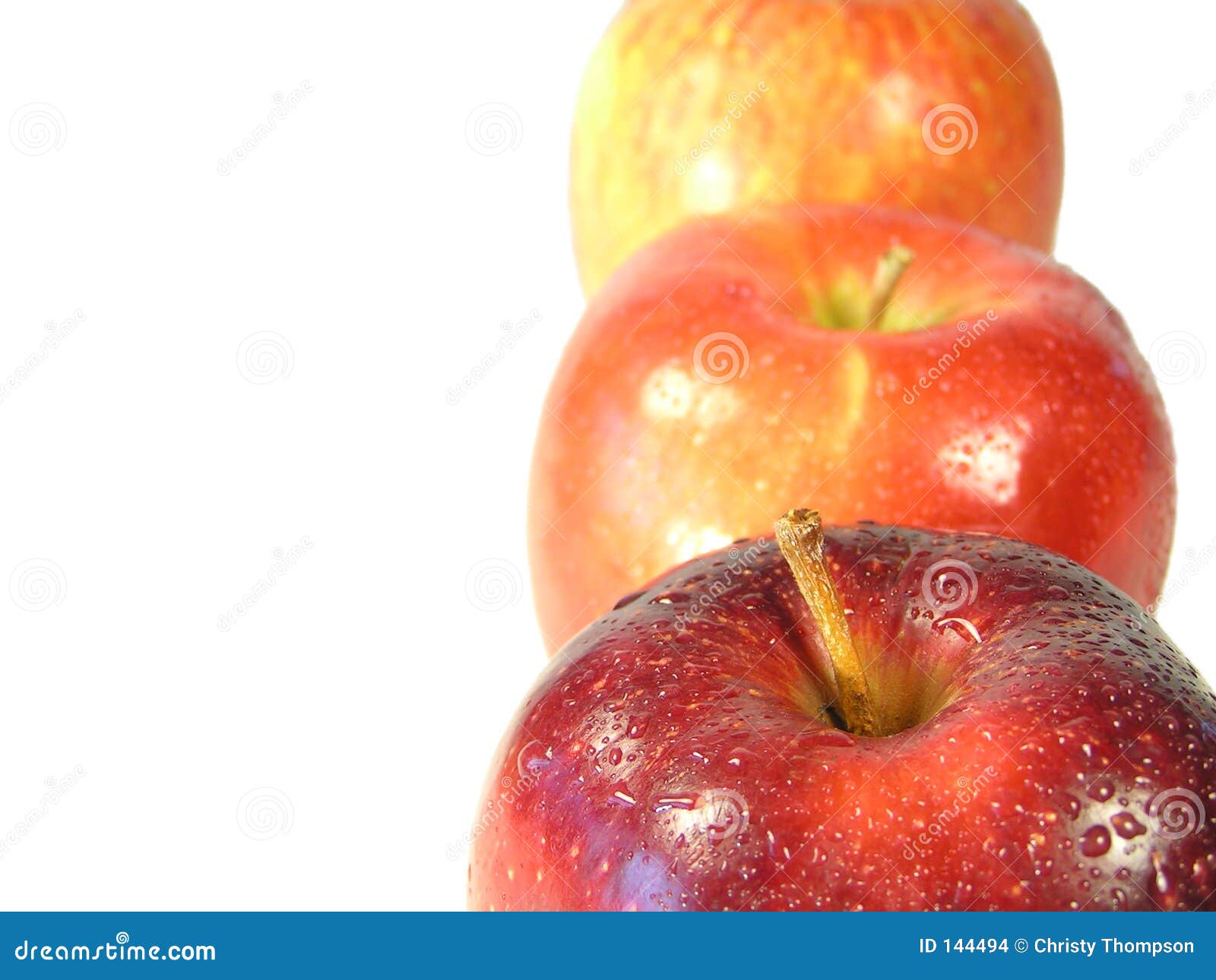 Three apples stock photo. Image of apples, growth, natural - 144494