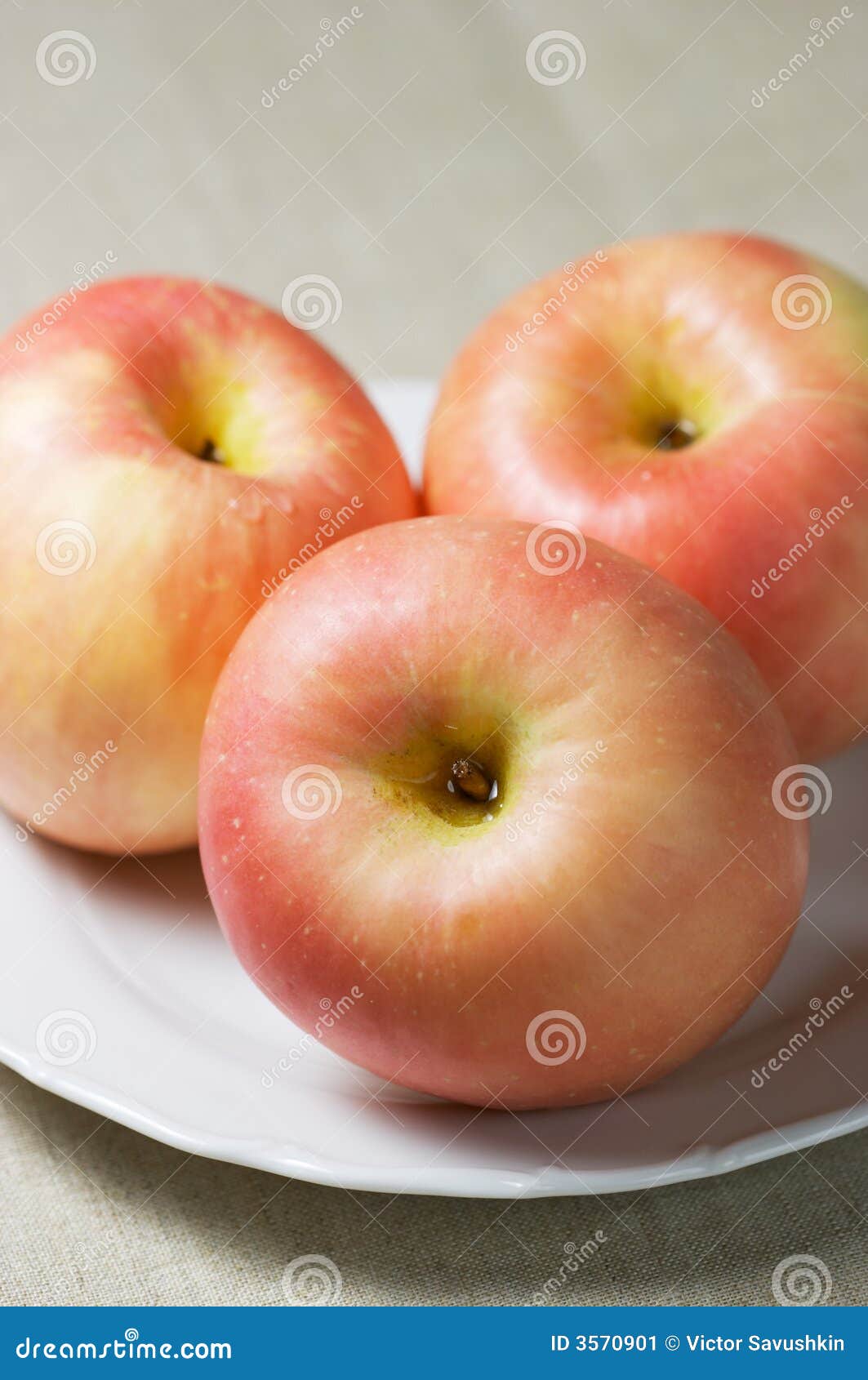 Three apples #2 stock image. Image of gala, closeup, fuji - 3570901