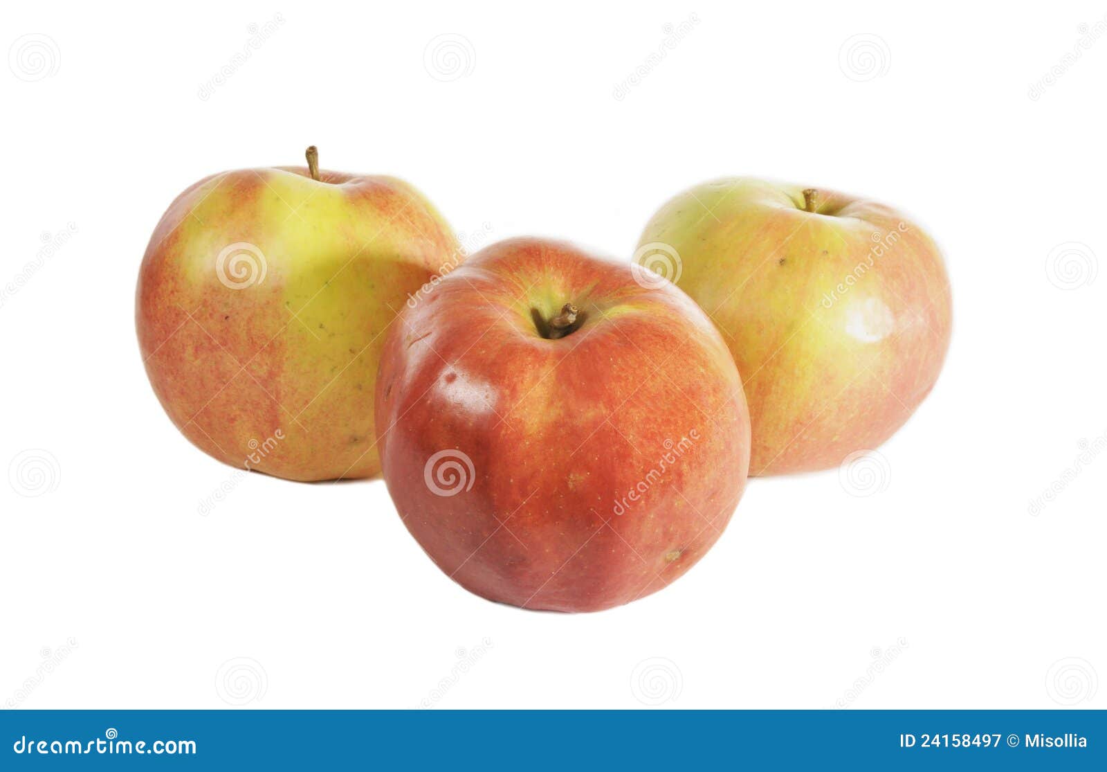 Three apples stock image. Image of apple, oval, large - 24158497