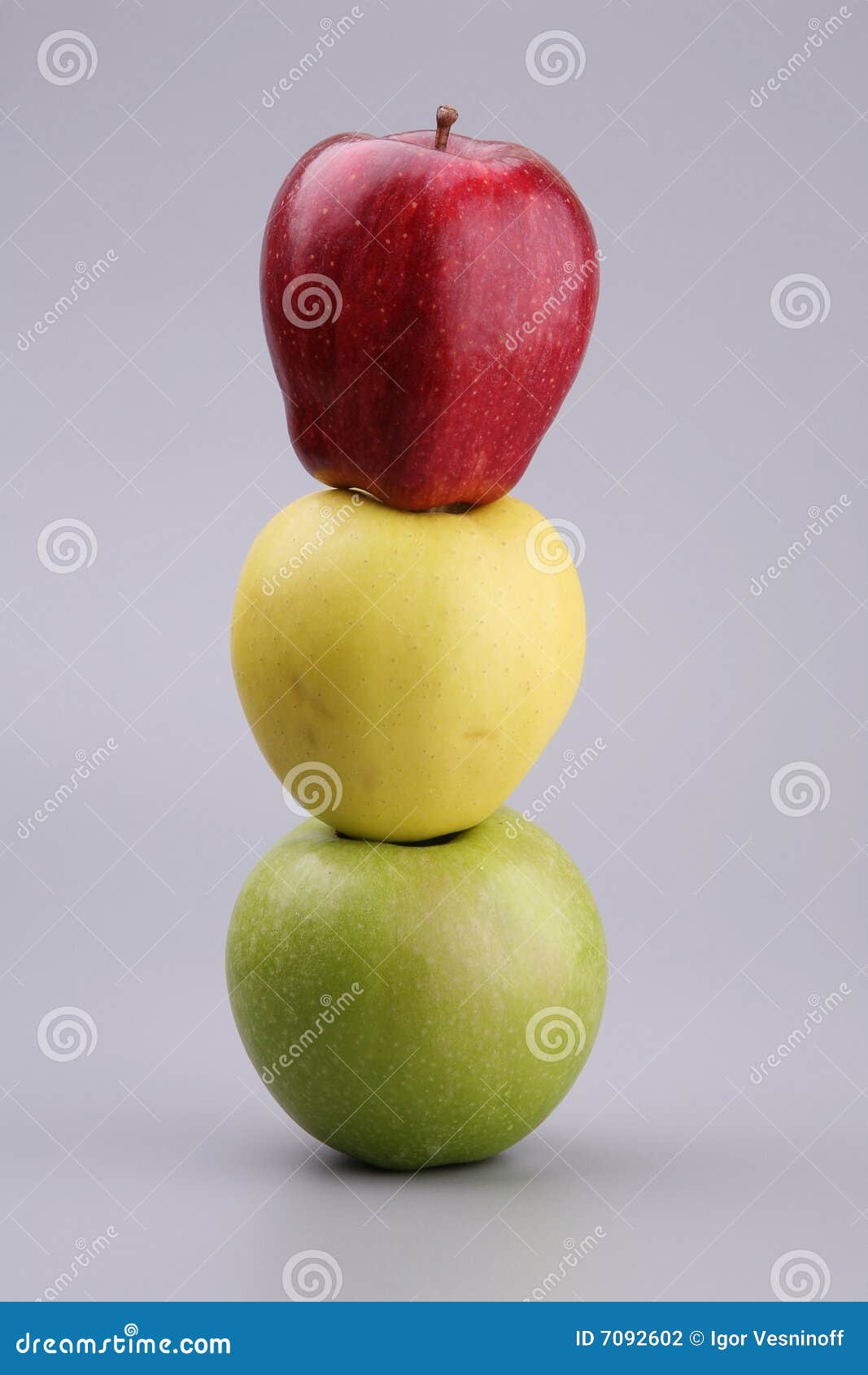 Three Apples on a Grey Background Stock Photo - Image of green, light ...
