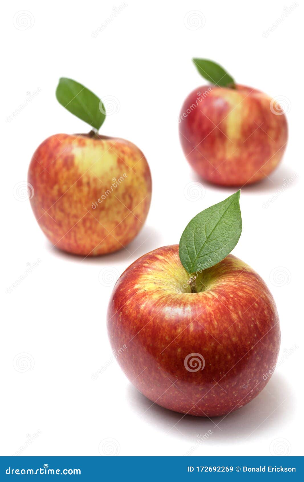 Three Apples Isolated on White Stock Image - Image of vertical ...