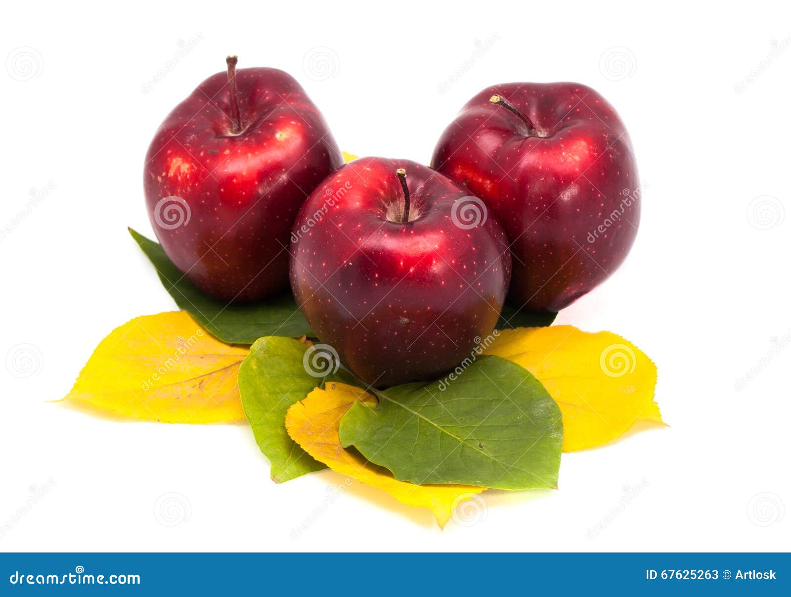 Three Apples on Leaves Isolated Stock Image - Image of fresh, color ...