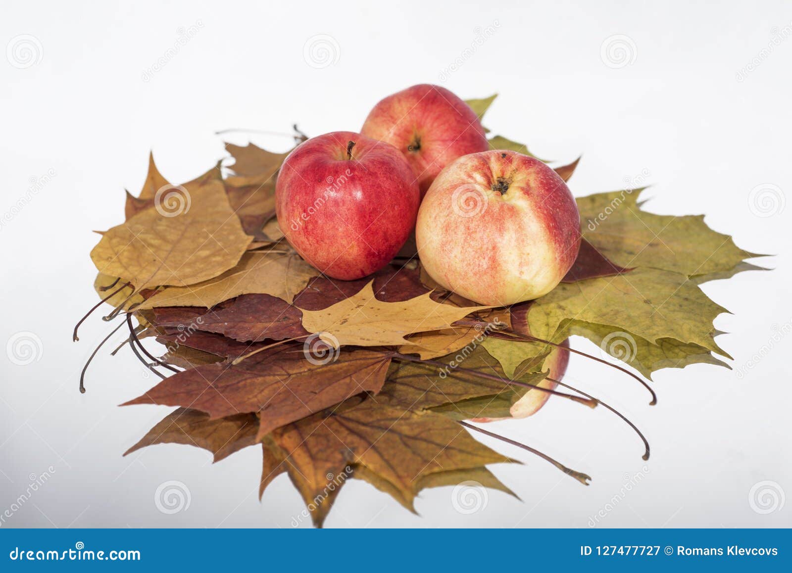 Three Apples on Table with Reflection. Autumn Abstract Photo Stock ...