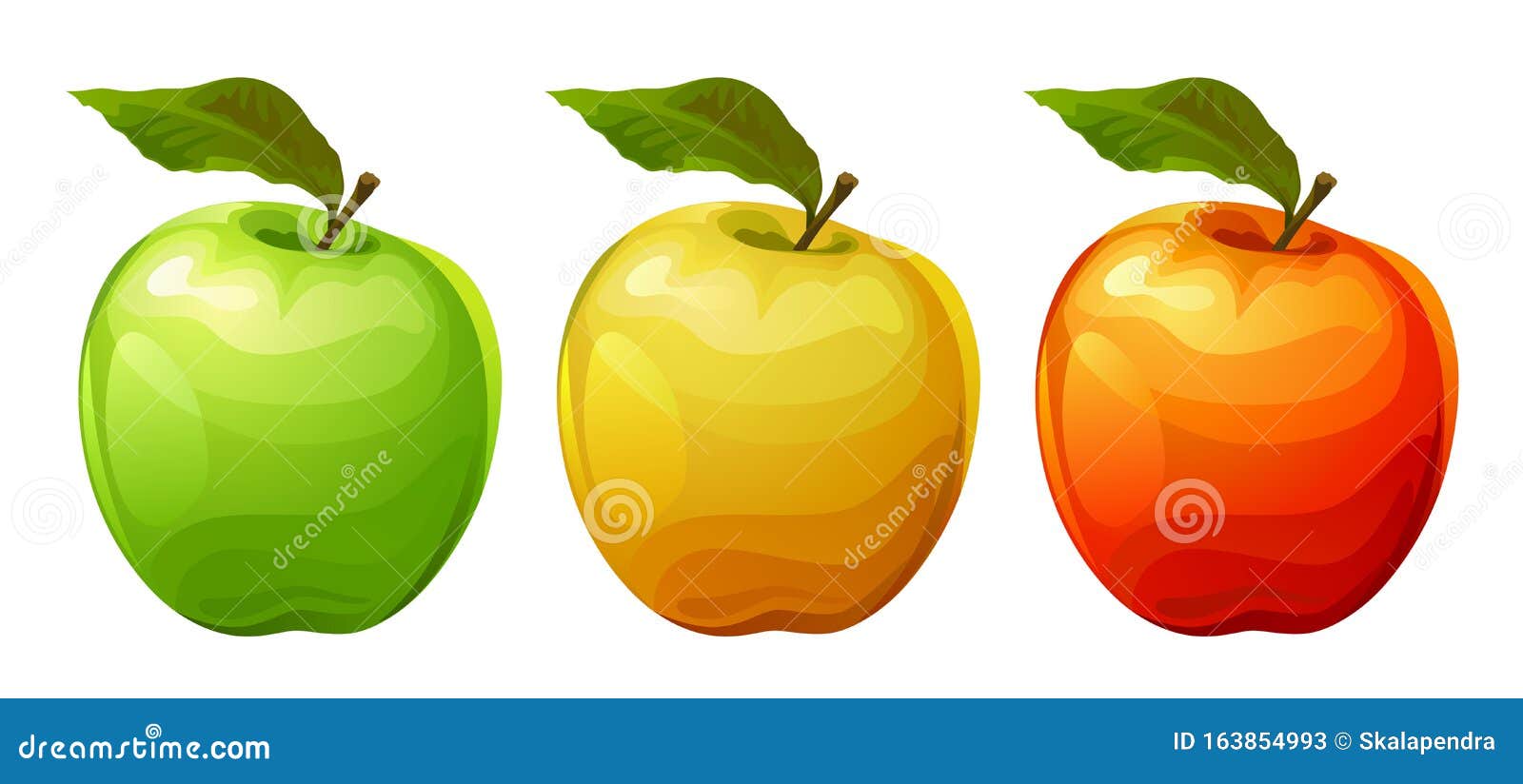 Three apples stock illustration. Illustration of fresh - 163854993