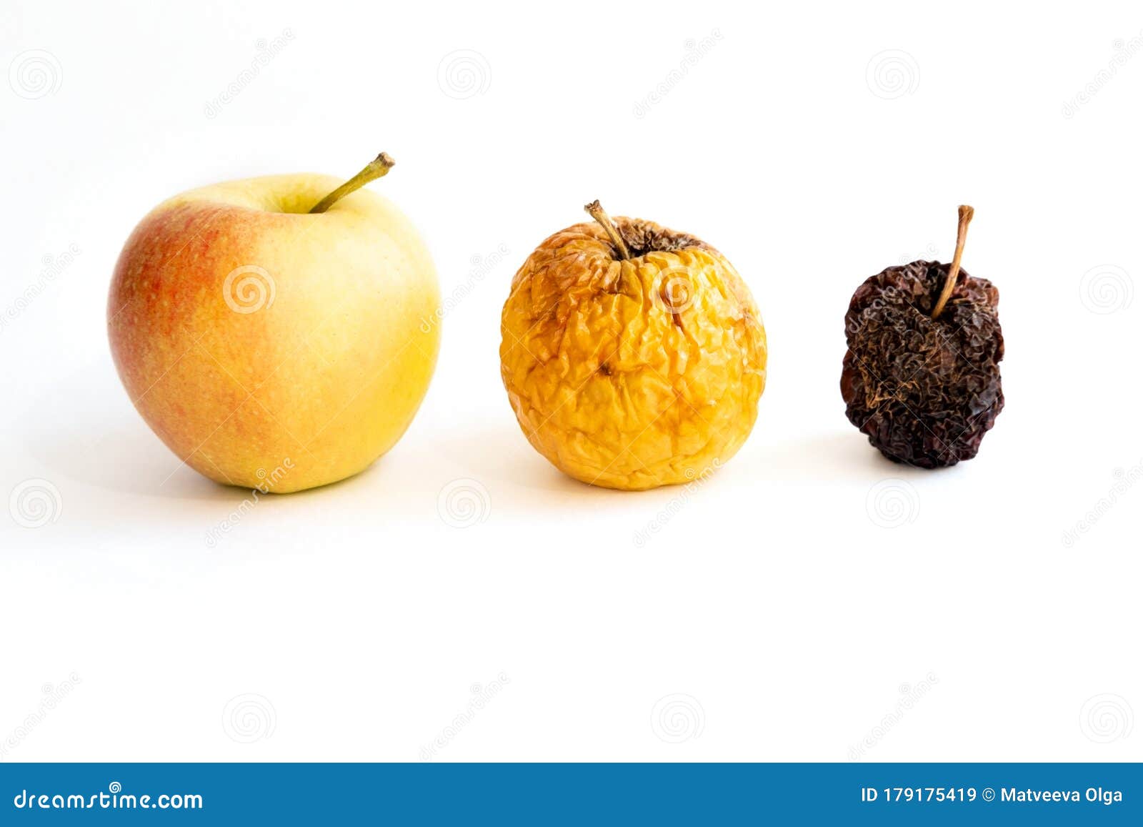 Three Apples: Young, Old, Dead. Concept Of Aging Of Human Skin Of ...