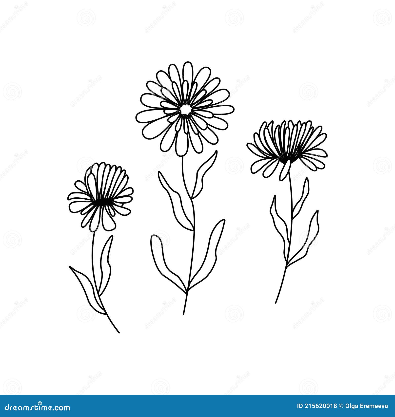 Three Aster Flowers of Different Shapes. Vector Doodle Stock Vector ...
