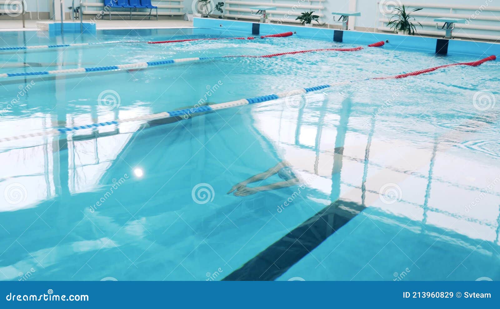 Three Athletes Jumping in a Swimming Pool in Sync Stock Video - Video ...
