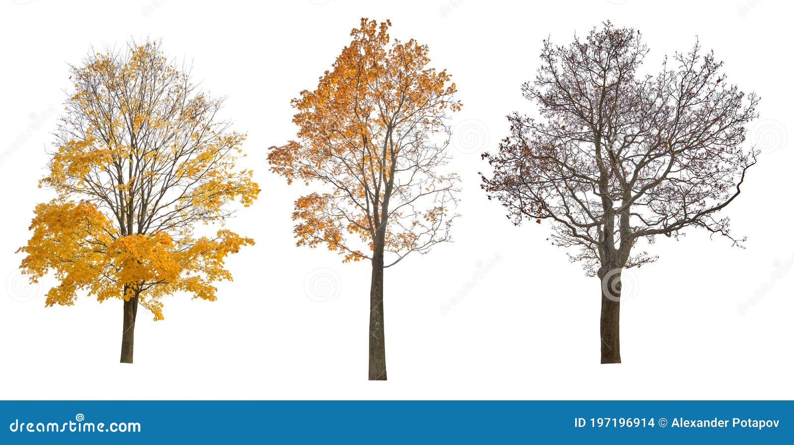 Autumn Tree Reflections On Emerson Park Boat Canal Royalty-Free Stock ...