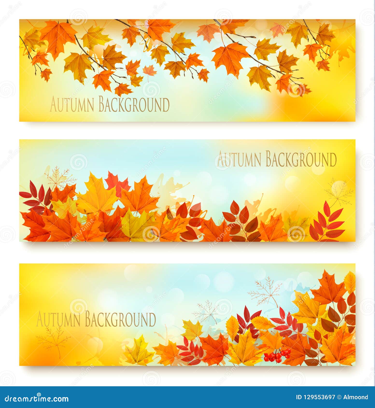 Three Autumn Nature Banners with Colorful Leaves. Stock Vector ...