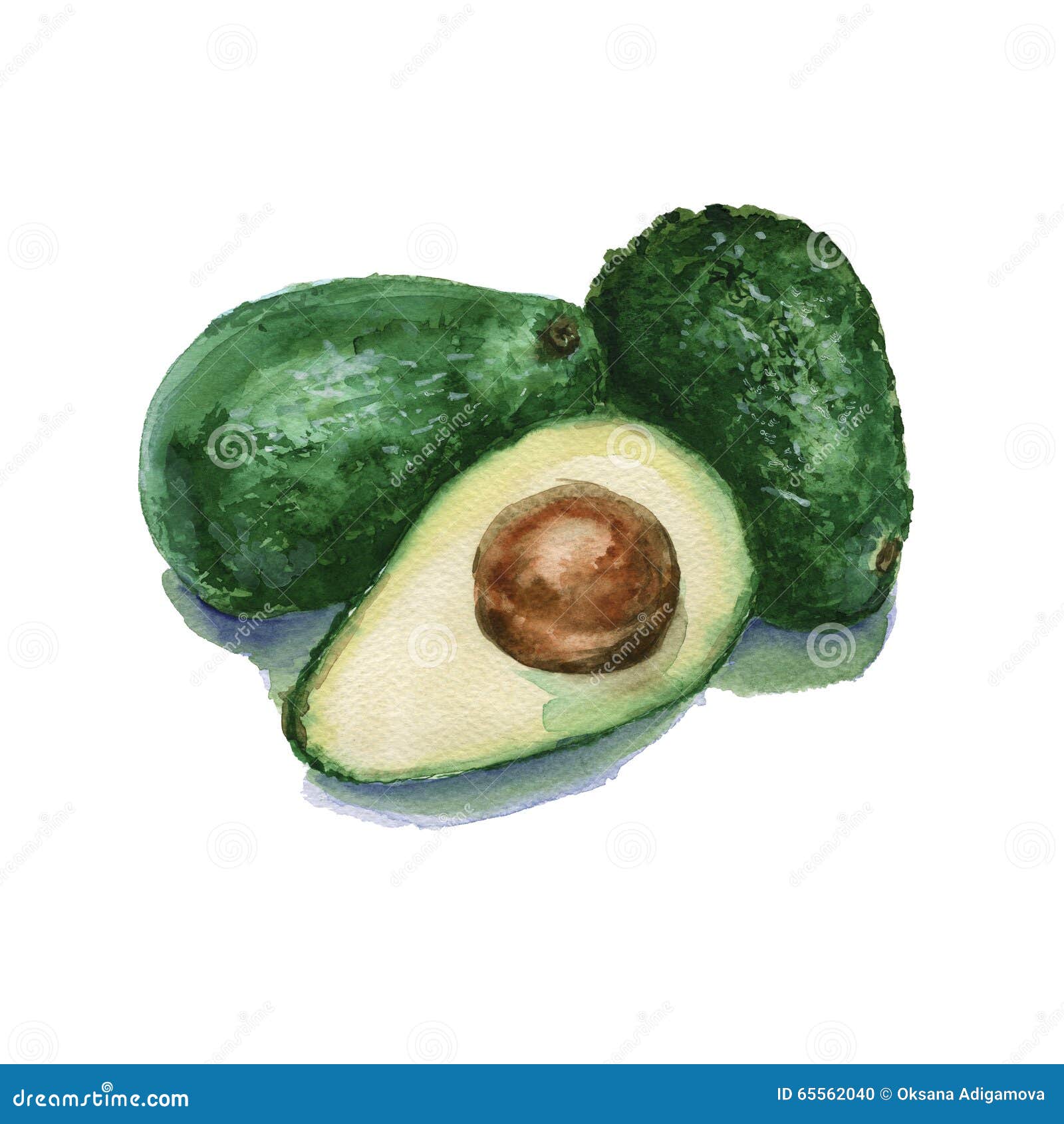 Three Avocados . Watercolor Stock Illustration - Illustration of exotic ...
