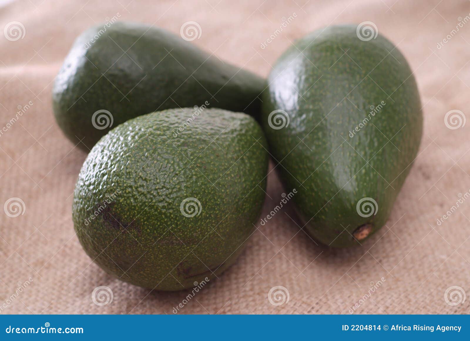 Three avos stock photo. Image of natural, produce, fresh - 2204814