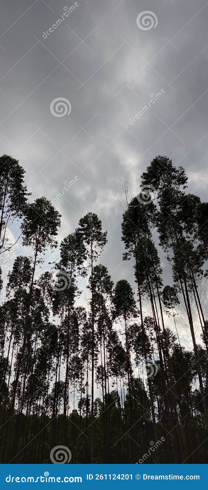 Three Background Wallpaper Dark Three Potrait Sky Shape Random Picture ...