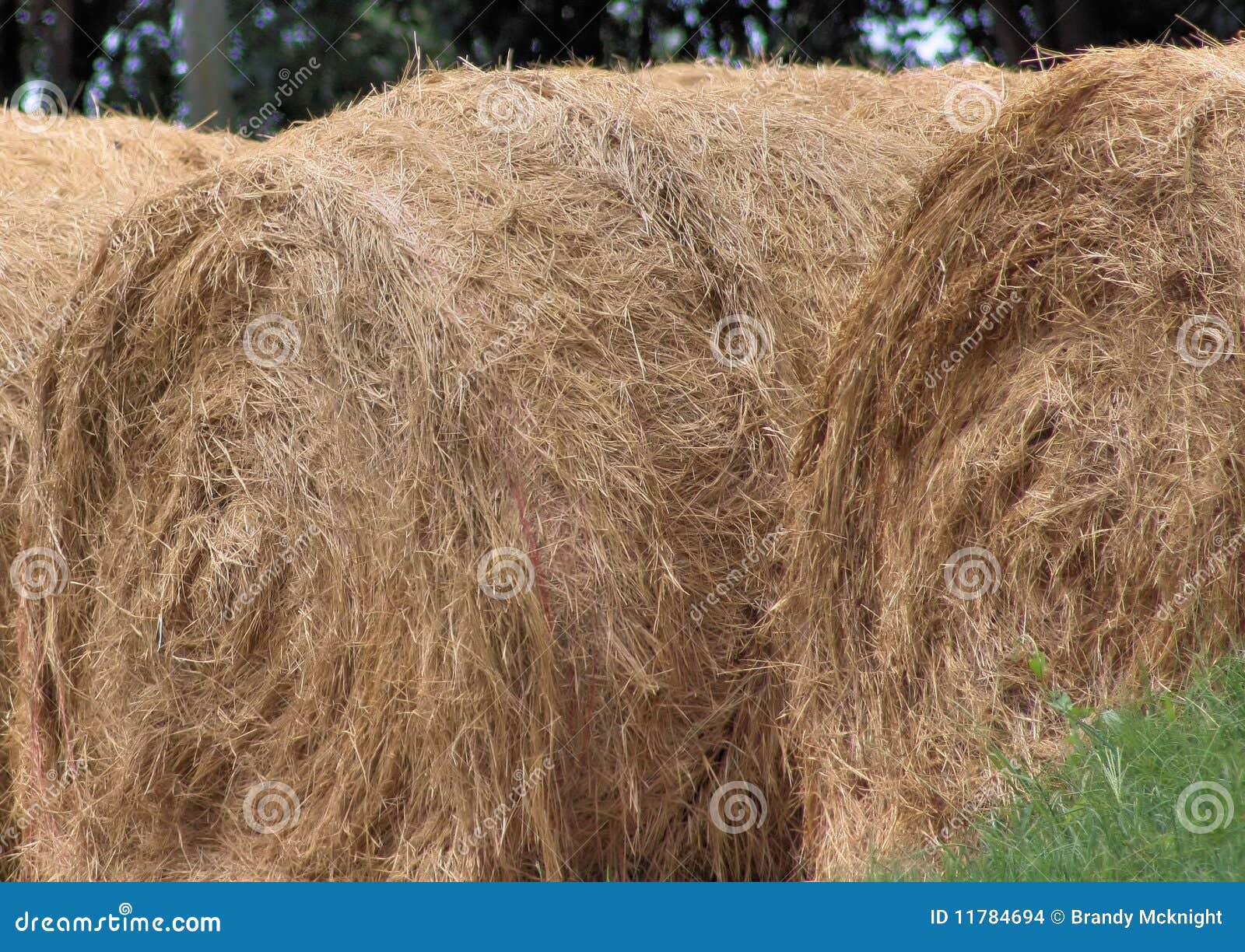 Three Bales of Hay stock photo. Image of straw, rural - 11784694