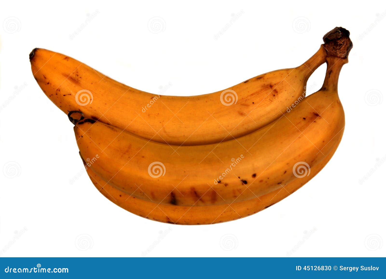 Three Bananas in Bunch Isolated (separated) on White Stock Photo ...