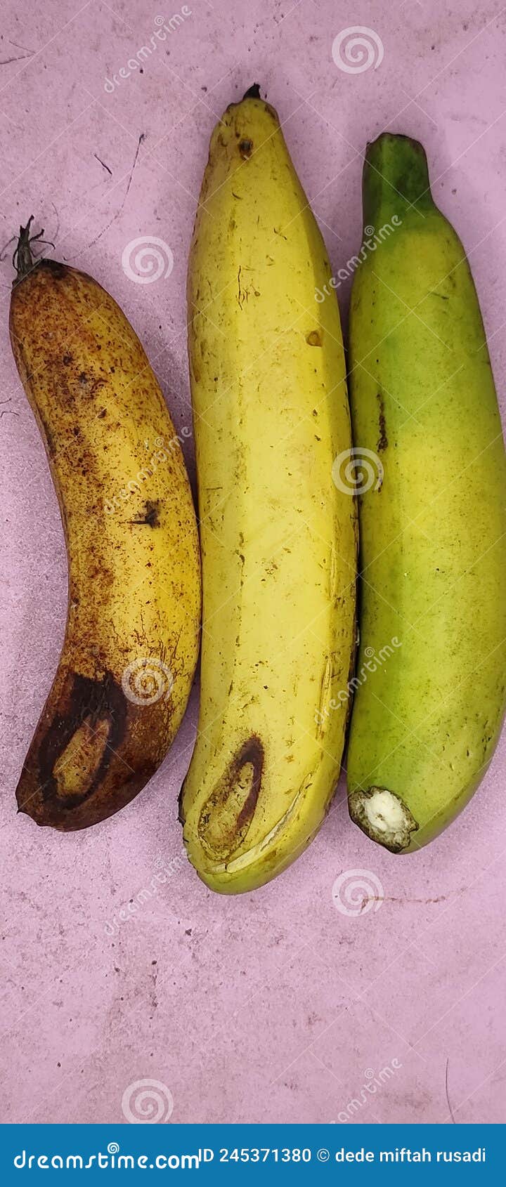 Three Bananas of Different Colors and Sizes Stock Photo - Image of ...