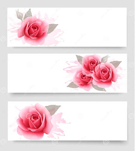 Three Banners with Pink Roses. Stock Vector - Illustration of roses ...