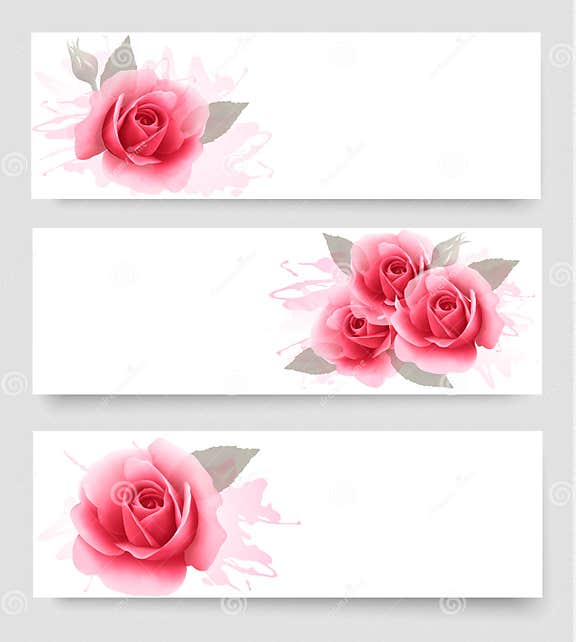 Three Banners with Pink Roses. Stock Vector - Illustration of roses ...