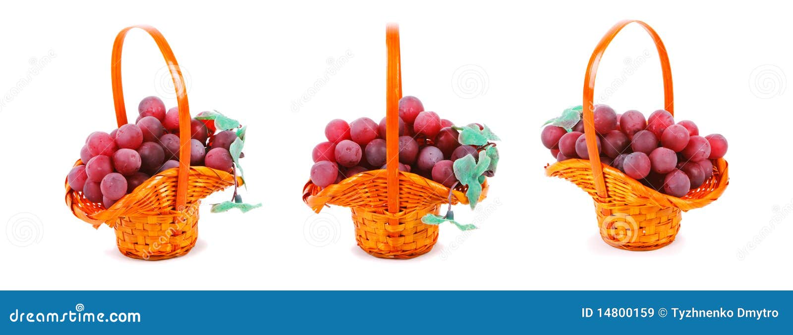 Three baskets of grapes stock image. Image of garden - 14800159