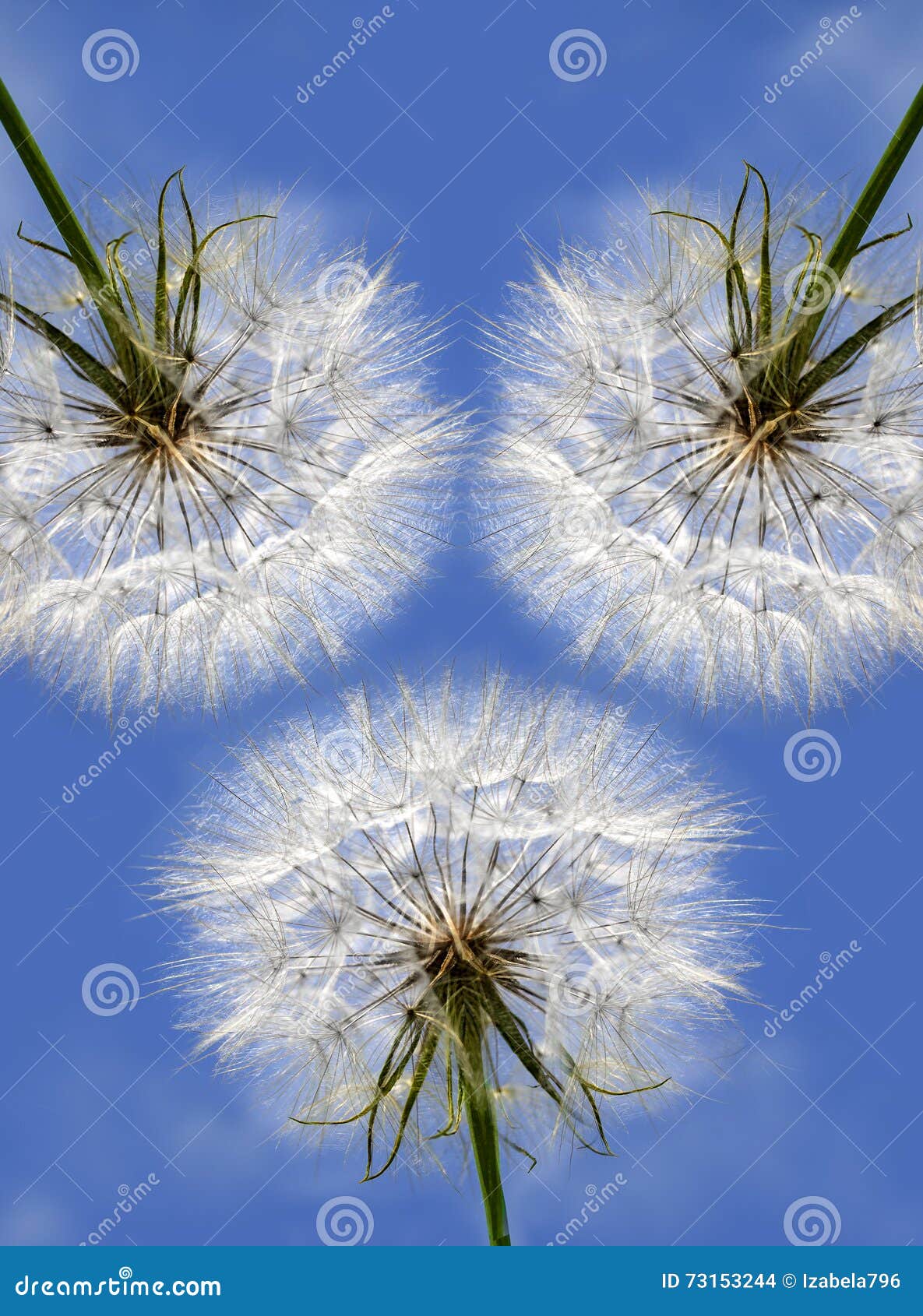 Three Beautiful Dandelions on Blue Sky. Stock Photo - Image of ...