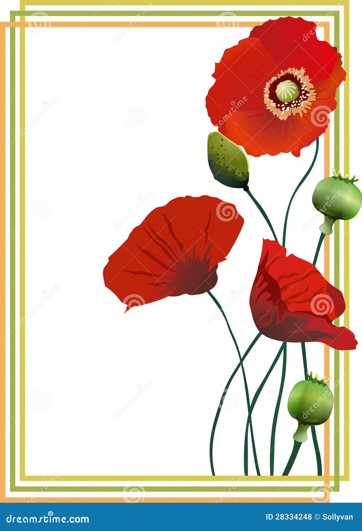 Three Beautiful Red Poppies in the Frame Stock Vector - Illustration of ...