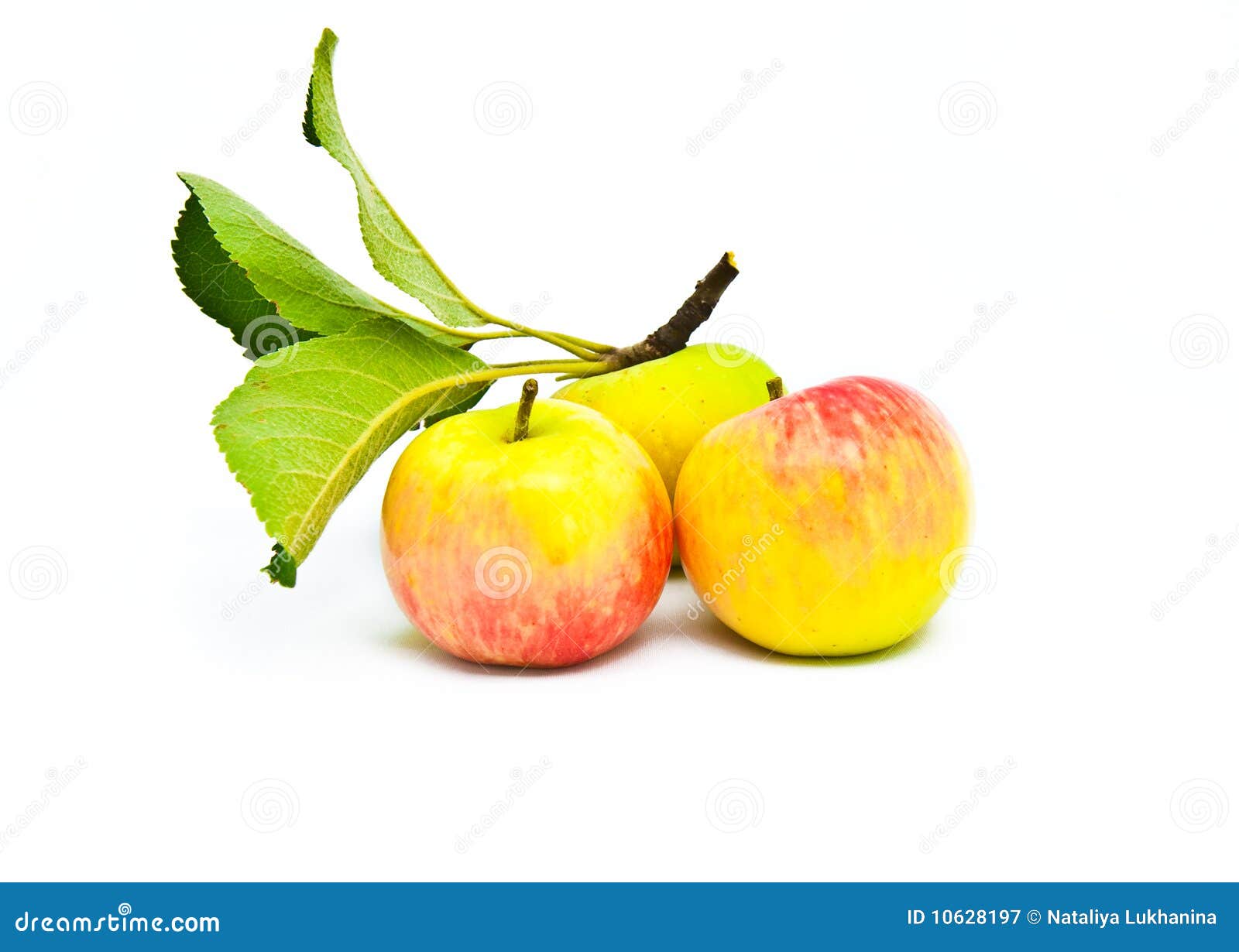 Three Beautiful Ripe Apples with Leaves Stock Image - Image of nature ...