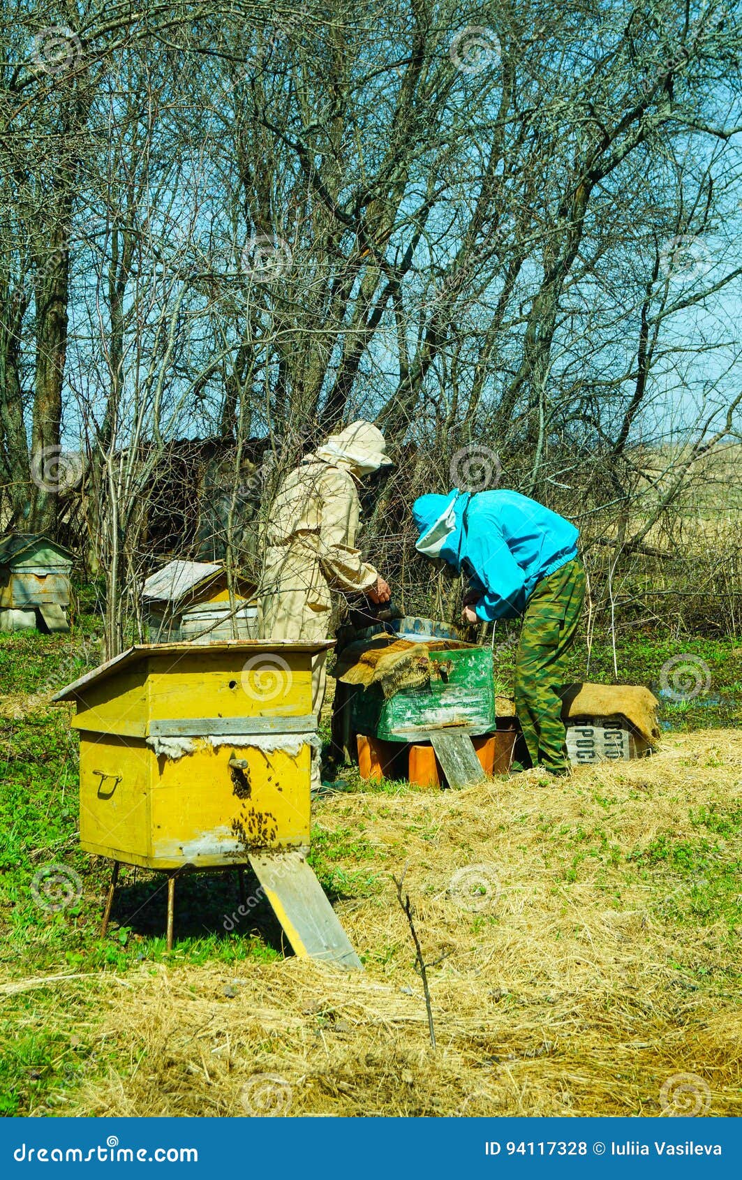 Three Beekeepers Work on an Apiary at Hive. Sunny Day Editorial Stock ...