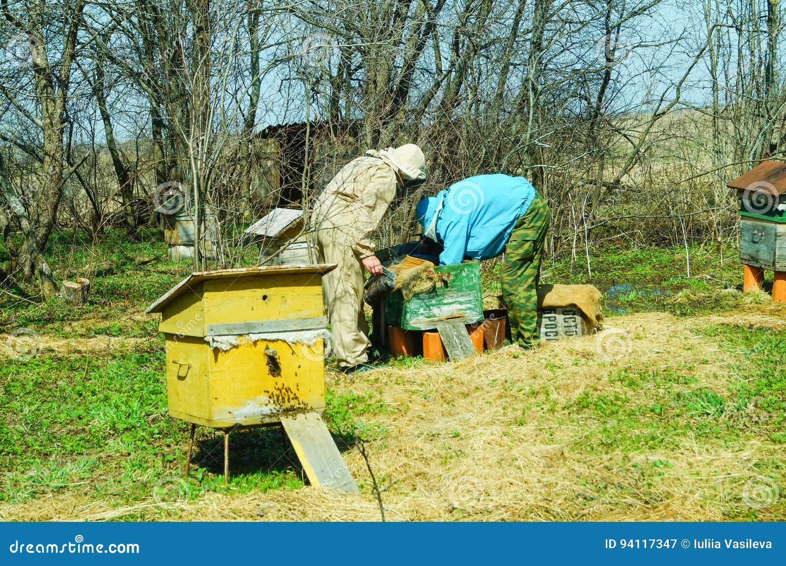 Three Beekeepers Work on an Apiary at Hive. Sunny Day Editorial ...