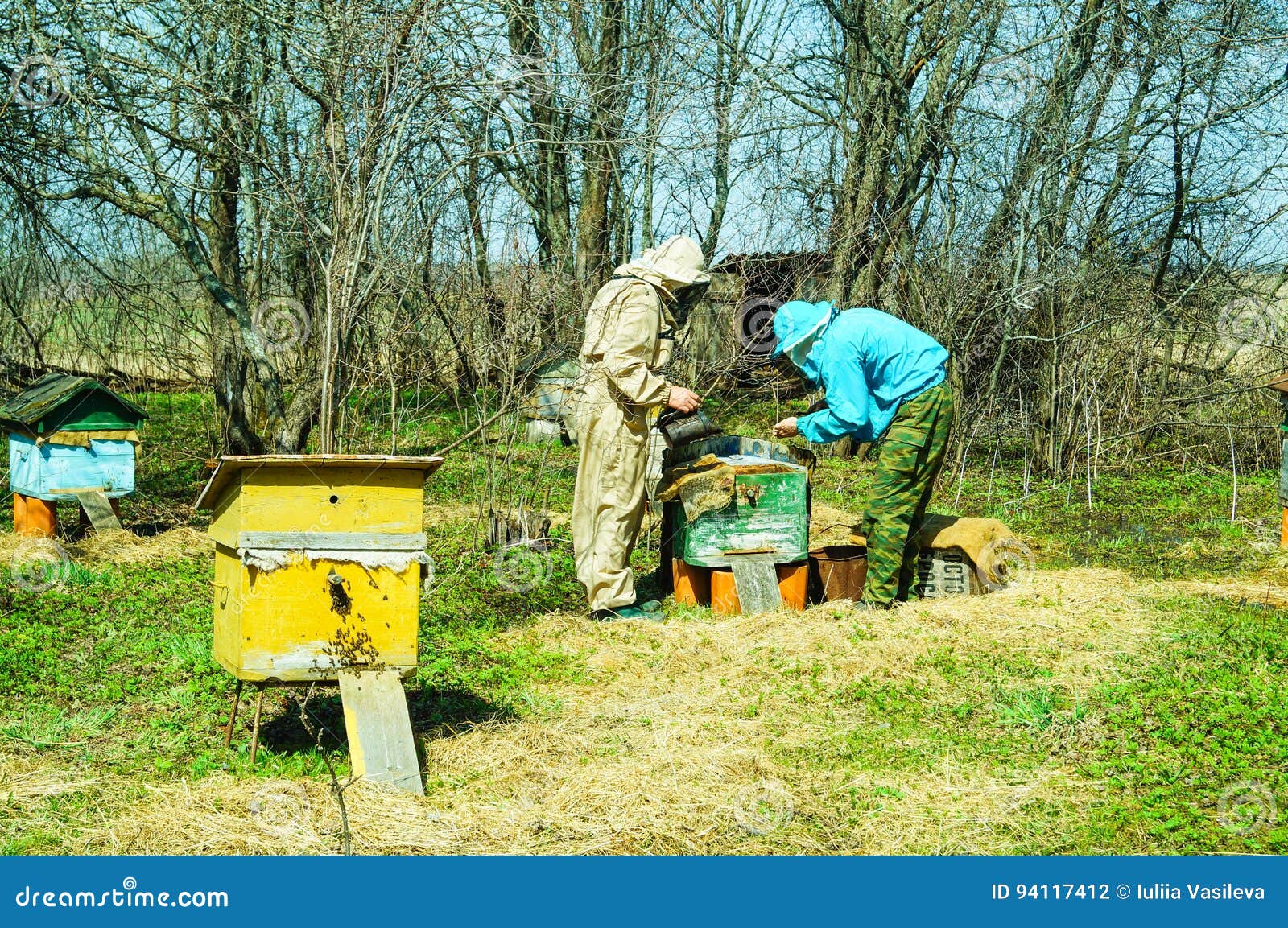 Three Beekeepers Work on an Apiary at Hive. Sunny Day Editorial ...