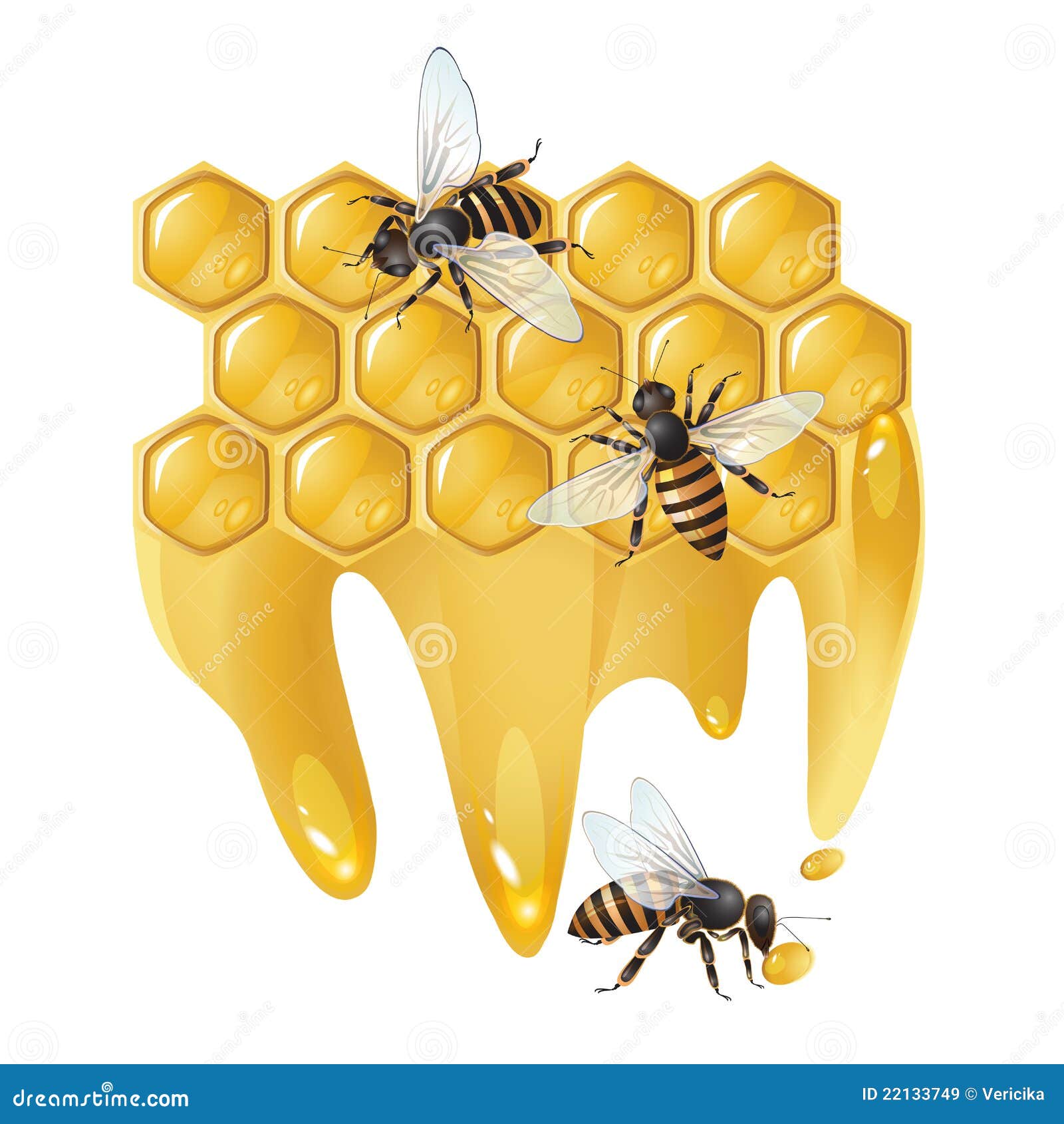Three bees and honeycombs stock vector. Illustration of small - 22133749