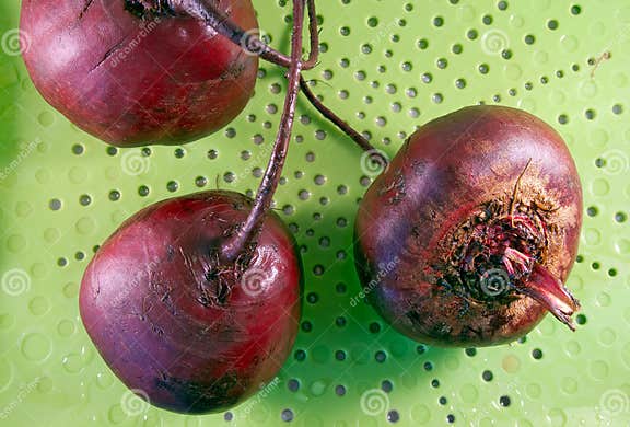Three beets stock image. Image of macro, beets, harvest - 97367897