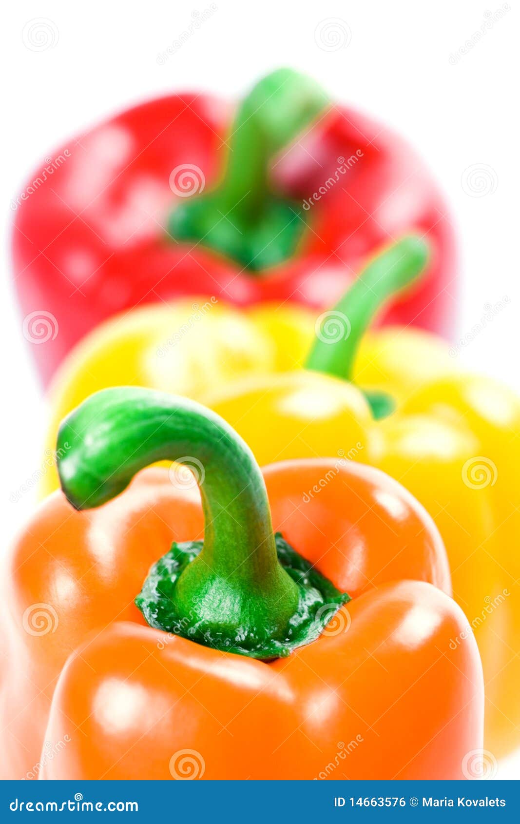 Three bell peppers stock photo. Image of ripe, orange - 14663576