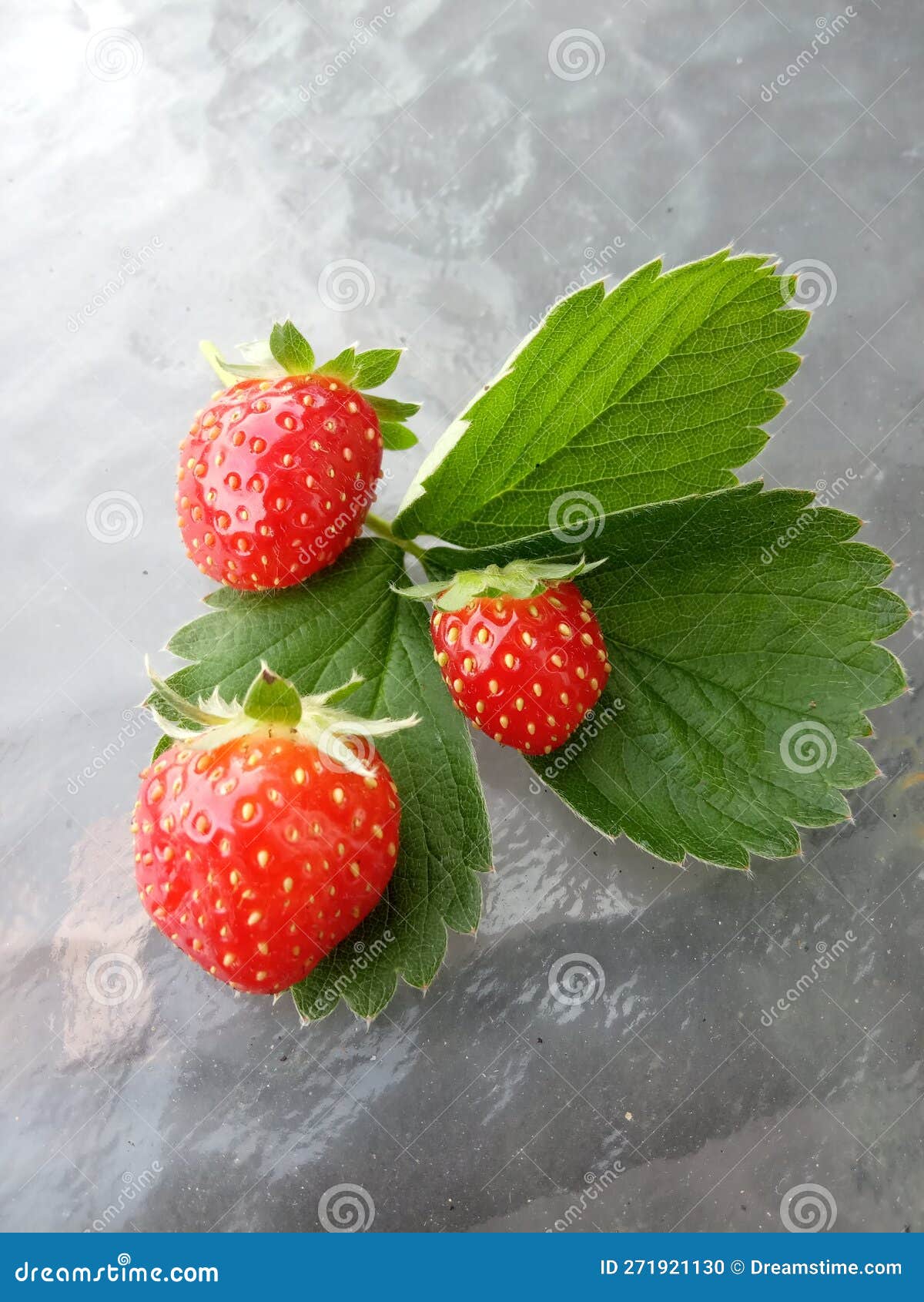 The three berries stock photo. Image of strawberry, dish - 271921130
