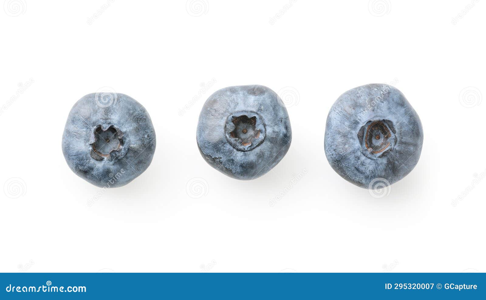 Three Big Blueberries Isolated on White Background Stock Image - Image ...
