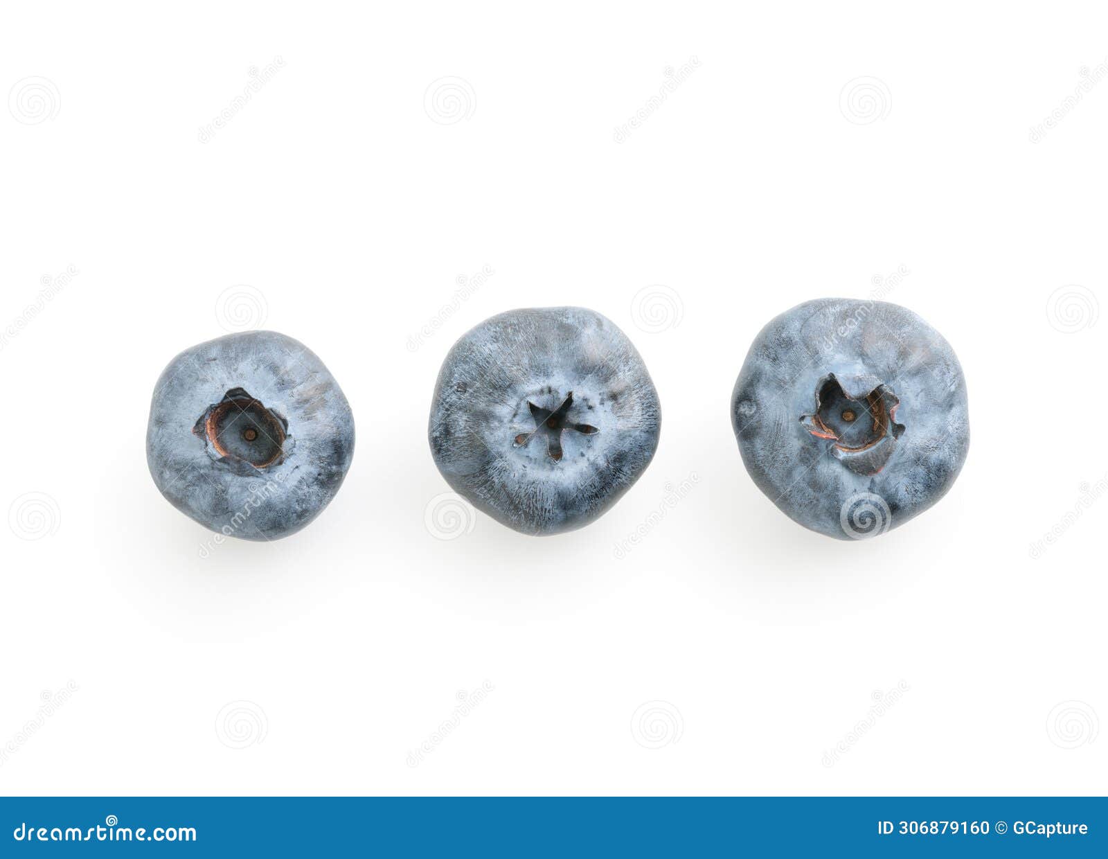 Three Big Blueberries Isolated on White Background Stock Photo - Image ...