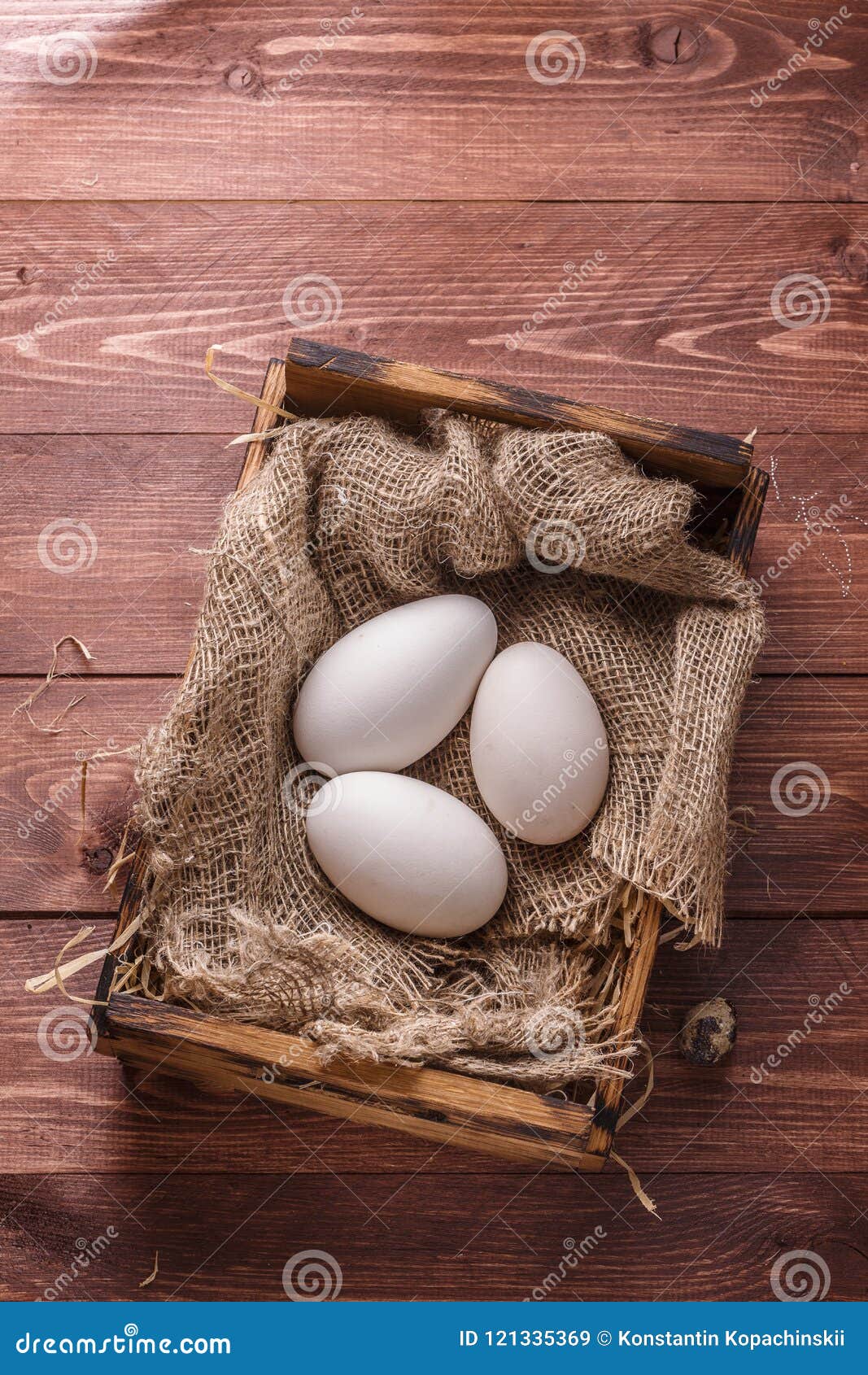 Three Big Fresh Goose Eggs in a Box, Copyspace Stock Image - Image of ...