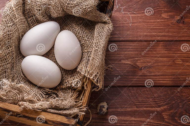 Three Big Fresh Goose Eggs in a Box, Copyspace Stock Photo - Image of ...