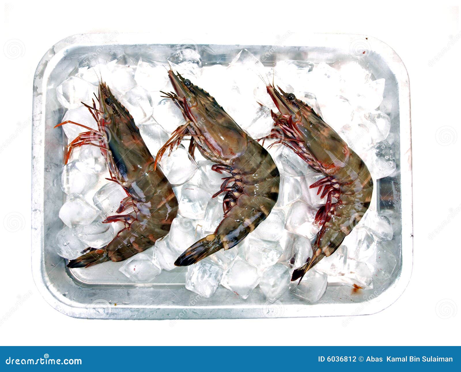 Three Big Sea Tiger Prawns stock photo. Image of full - 6036812