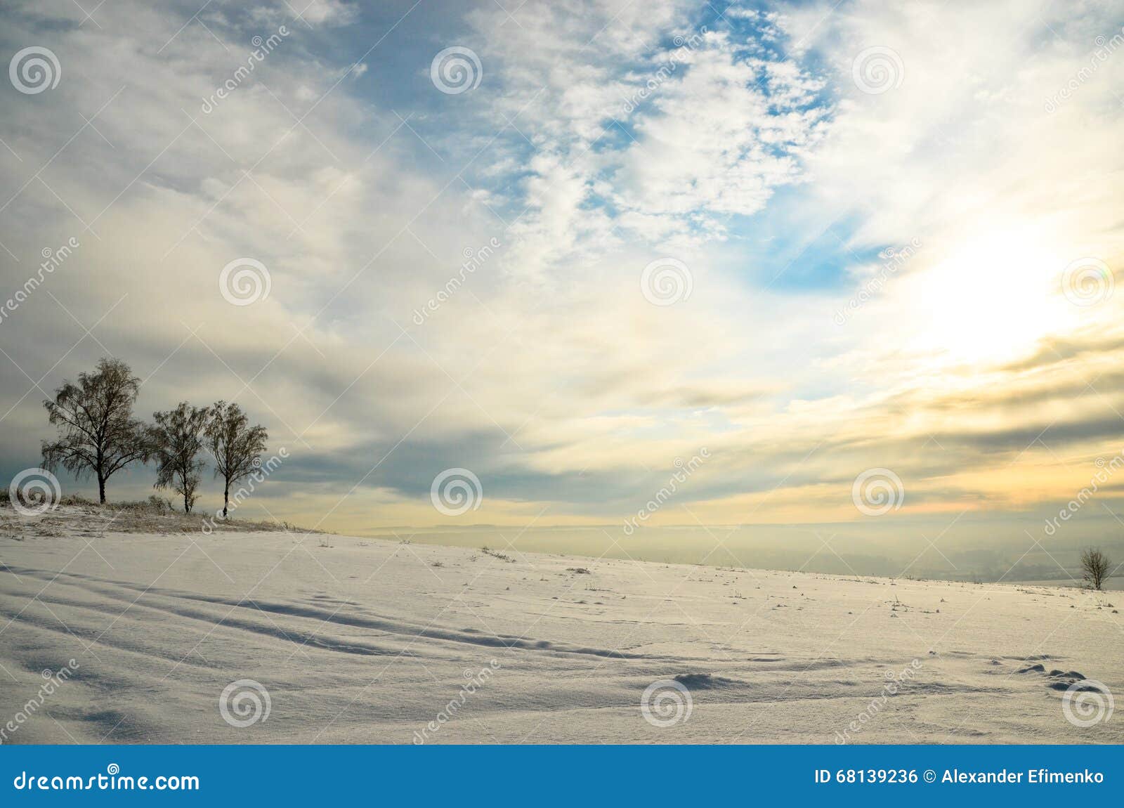 127 Three Birch Trees Background Sky Stock Photos - Free & Royalty-Free ...