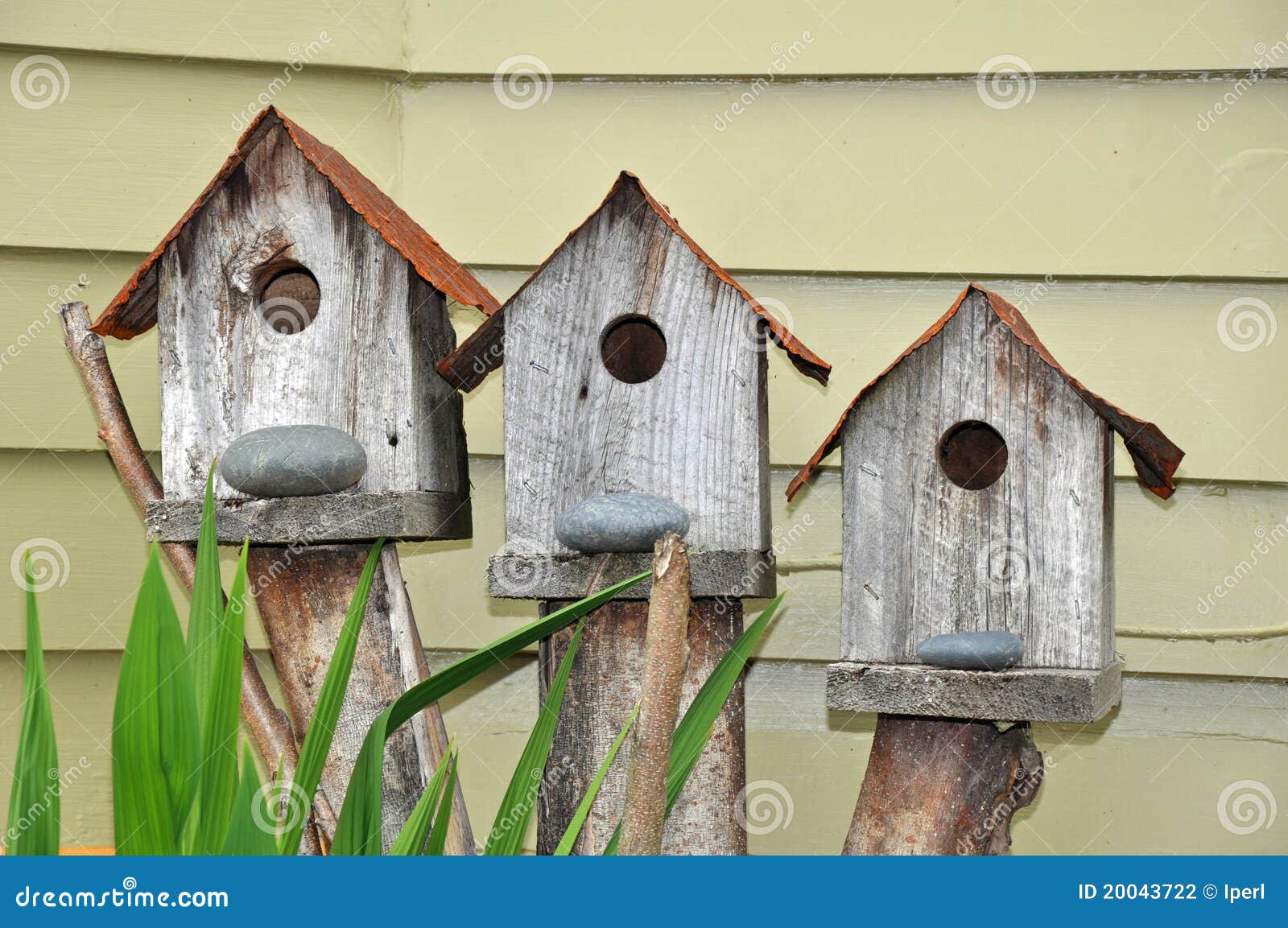 Three birdhouses stock photo. Image of residence, habitat - 20043722