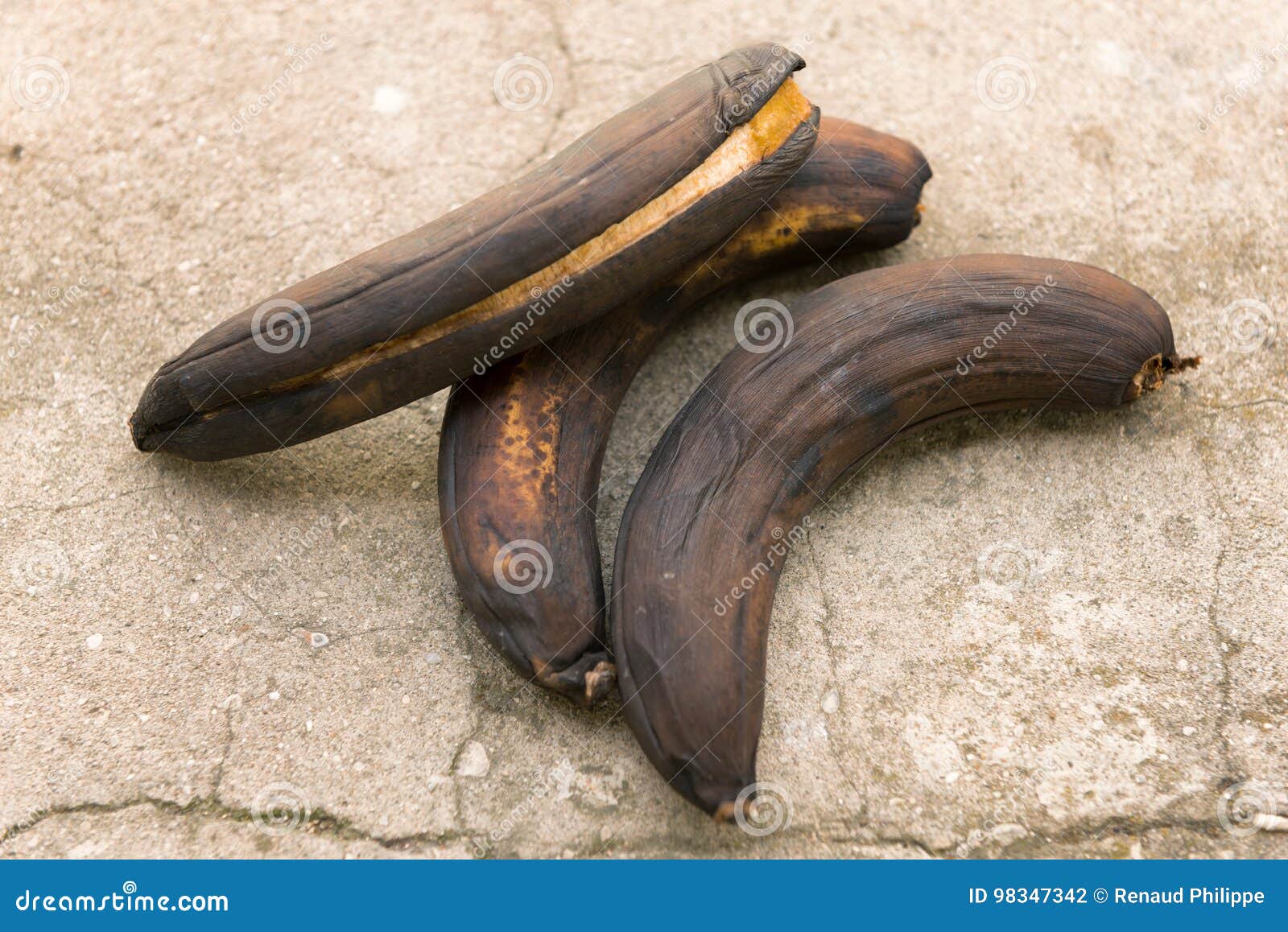 Three black rotten banana stock photo. Image of tropical - 98347342