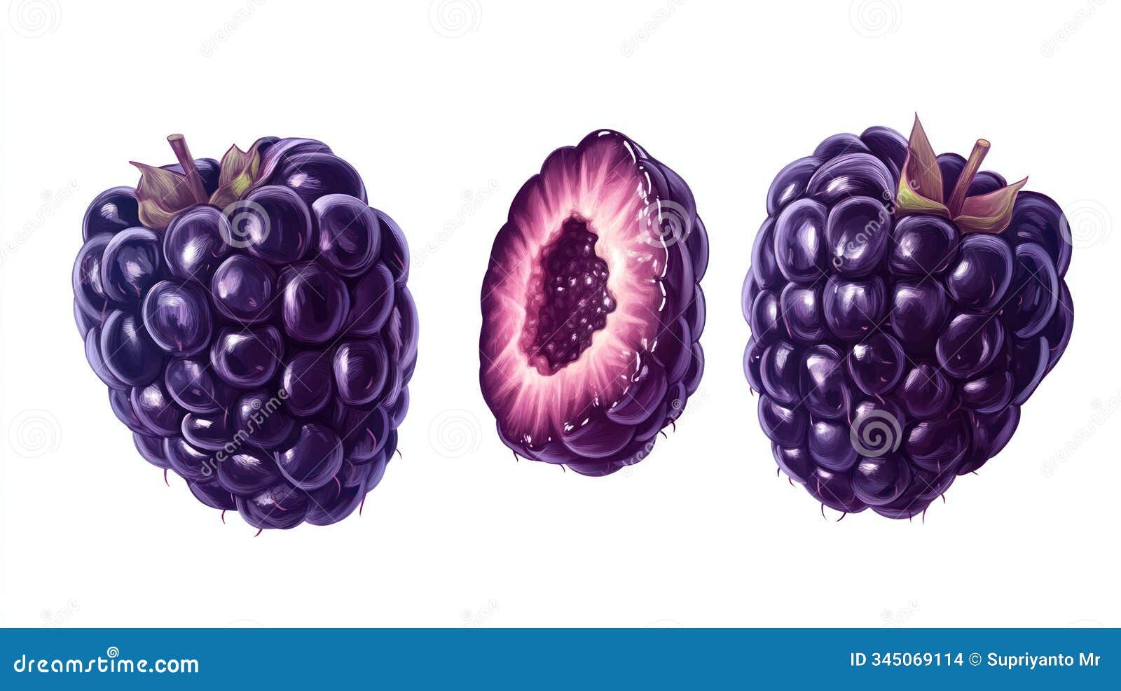 Three Blackberries, Including a Whole Fruit and a Cross-section ...