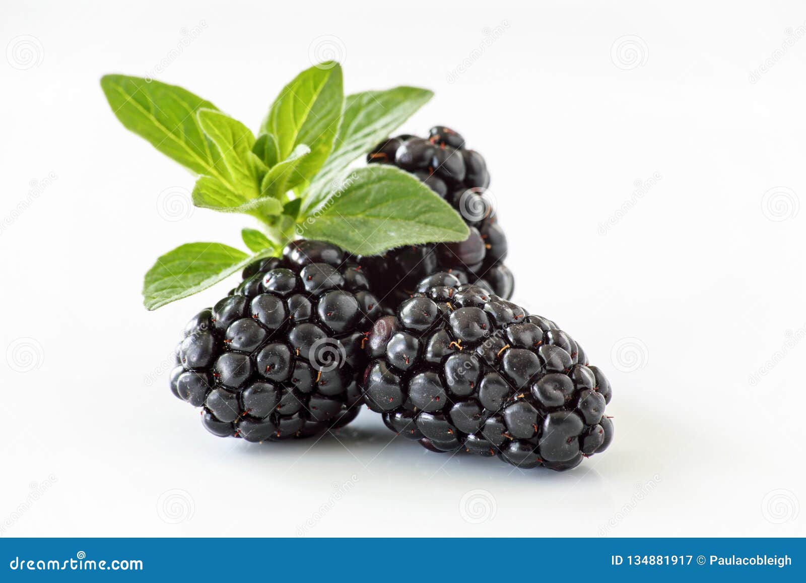 Three Blackberries on a White Background Stock Image - Image of ...